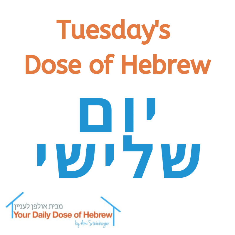 How To Say candidate In Hebrew Ulpan La Inyan How To Say candidate In Hebrew Ulpan La Inyan
